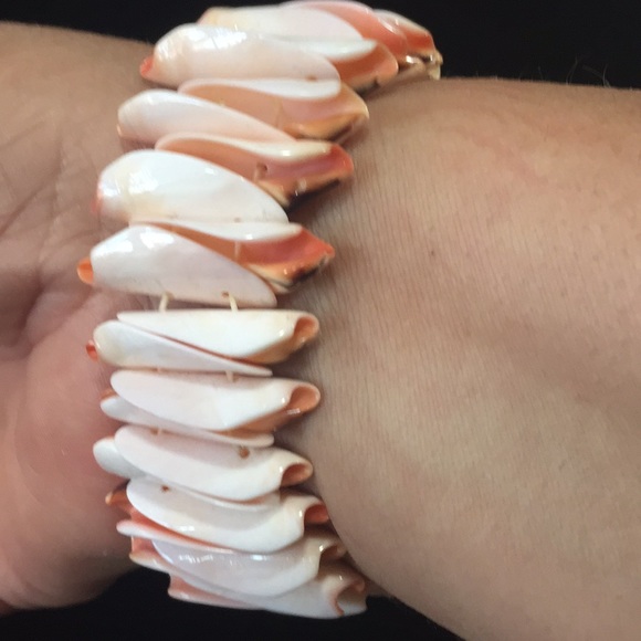 Jewelry | A Seashell Bracelet Beautiful Shells Elastic Band | Poshmark